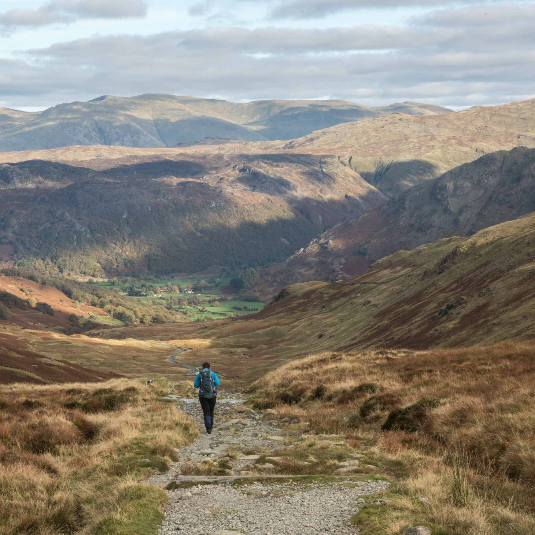 october canvas 5 | Sense of Here